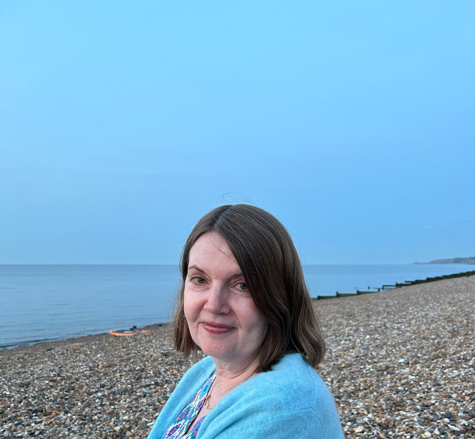 Alice Castle Author – Alice Castle's cozy crime and psychological thrillers